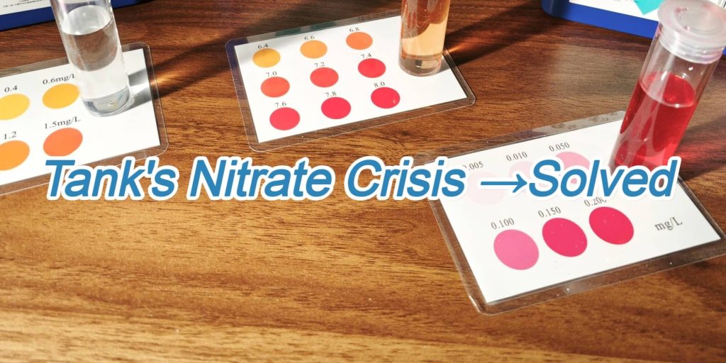 Nitrate Reduction In Fish Tanks: How To Lower Levels Without Water ...