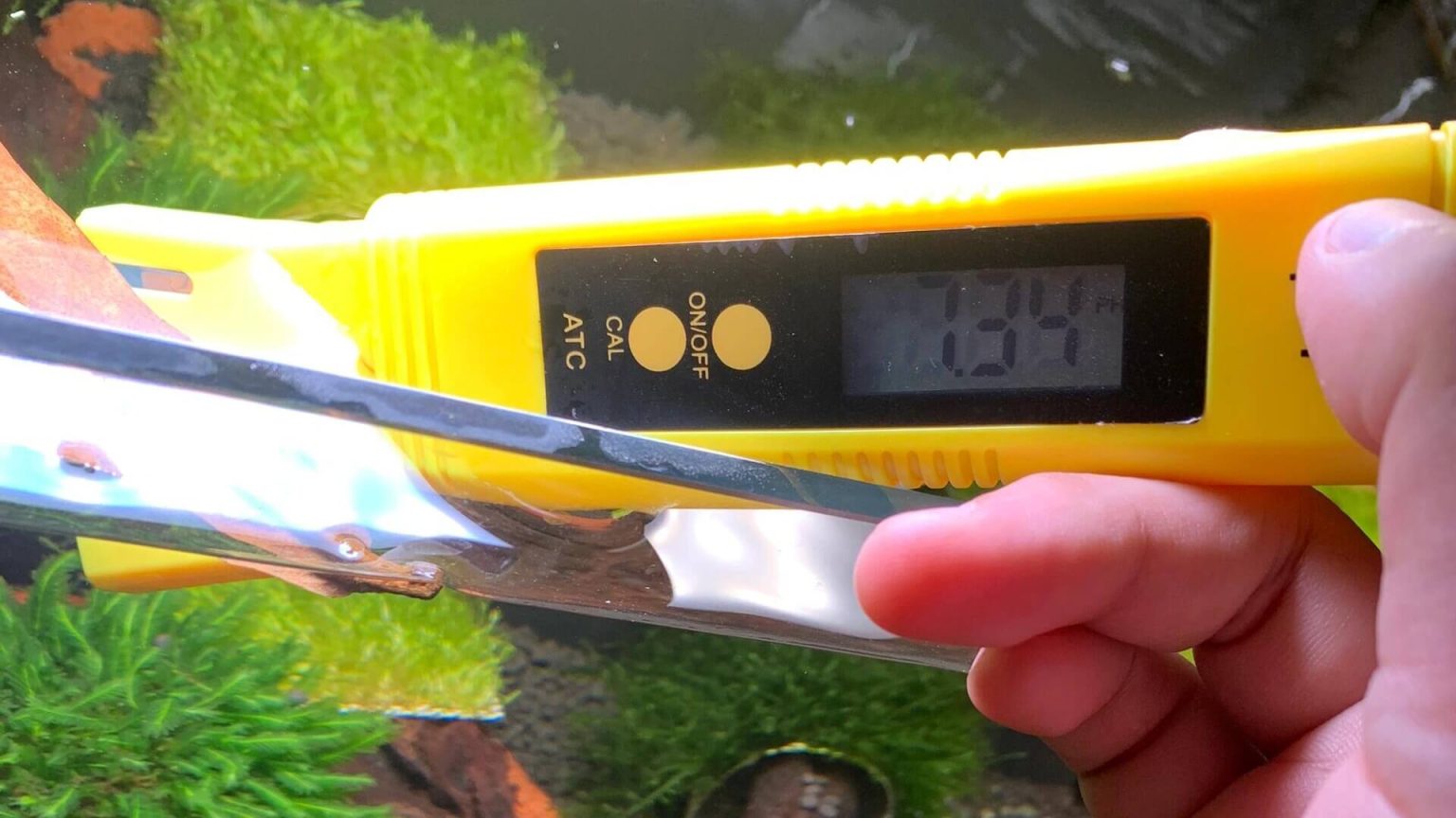 How To Lower PH In Aquarium Naturally & Safely: Step-by-Step Guide 2025