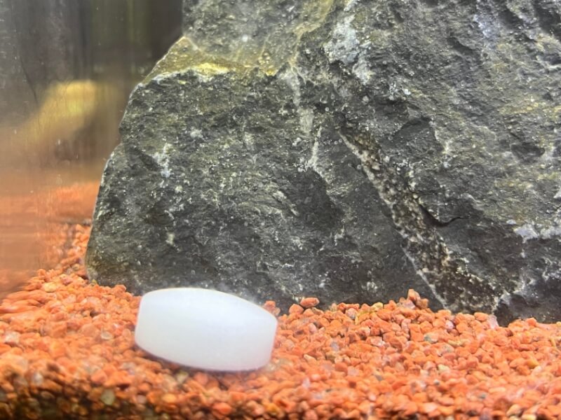 How To Soften Aquarium Water Naturally: A Simple Step-by-Step Guide 2026